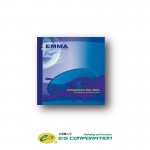 EMMA CD 2012 – E:S CORPORATION