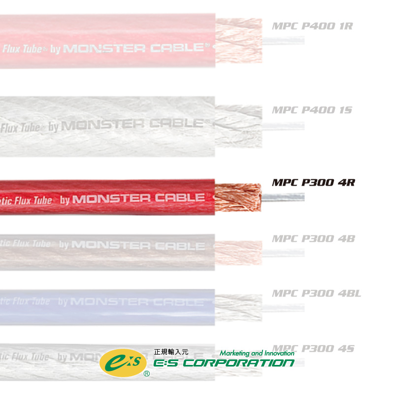 MPC P300 4R-25 – E:S CORPORATION